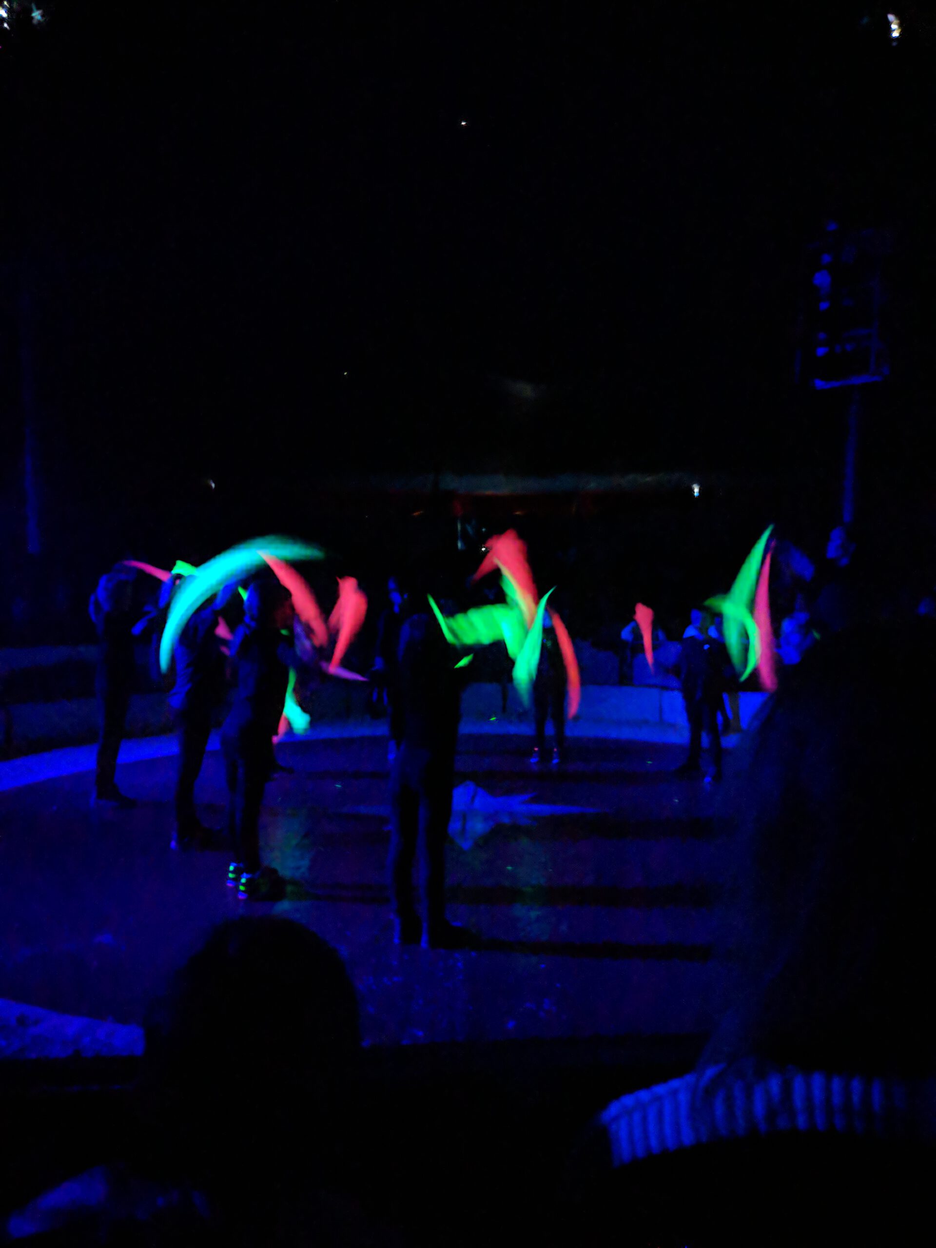 Zirkus Hölterelli | Hölterschule